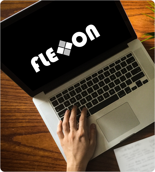 NAND Flash IC | Industrial SLC NAND IC Flash | Flexxon